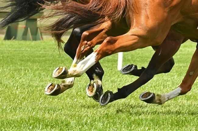 Horse racing | October 31, 2020 | The Witness