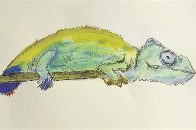 FEATURE | A small chameleon is one of God’s creatures | The Witness