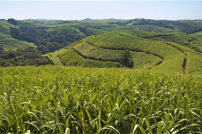 Second pre-teen girl (12) found murdered in Macambini on the KZN North ...