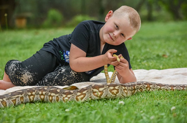 Escaped corn snake back with its owner (7) | The Witness