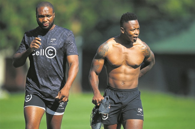 Excitement as new era of rugby begins for SA teams | The Witness