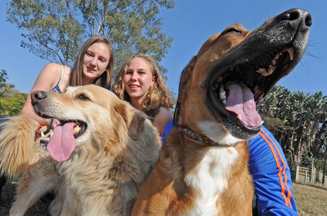 New venue for 1000 Paws Walk in Pietermaritzburg | The Witness