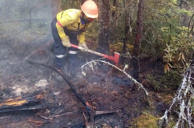 Working on Fire welcomes back SA’s firefighters from Canada | The Witness