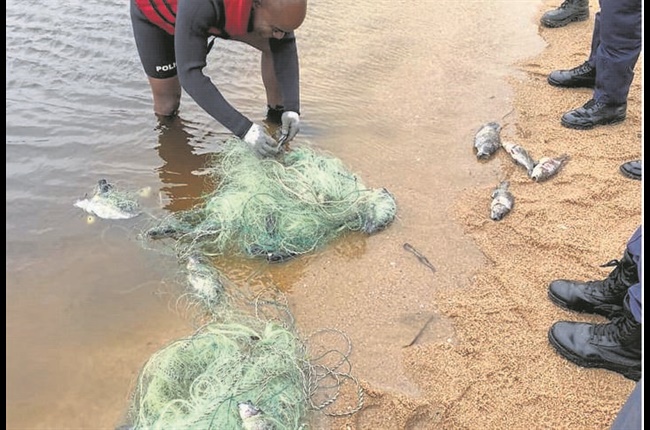 Poachers on the prowl as beaches north of Durban remain closed | The ...