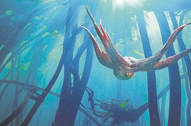 South Africa’s ‘My Octopus Teacher’ wins best documentary at Baftas ...