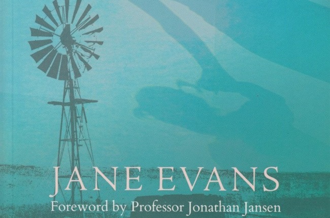 Book review | An interesting, worthwhile read | The Witness