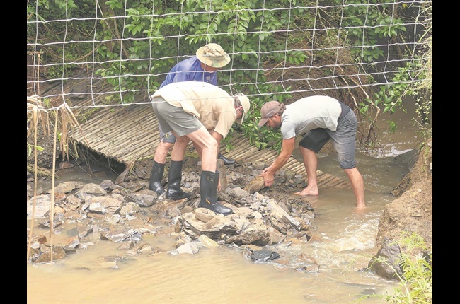 Friends of Bisley recover bridge at Pietermaritzburg nature reserve ...