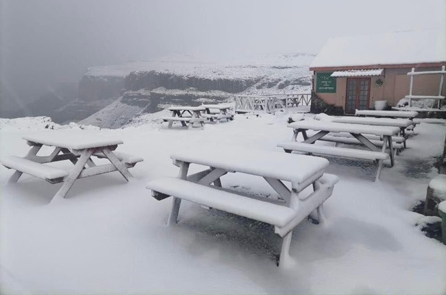 PICS | First snowfall of the year detected on southern Drakensberg, KZN ...
