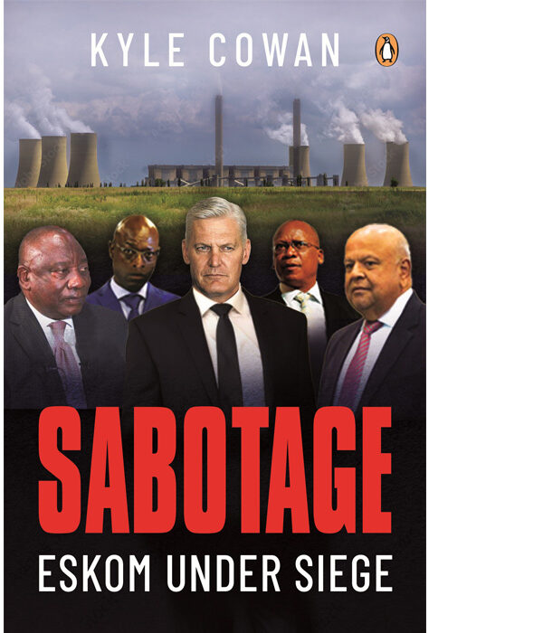 I think about Eskom every day. Why don’t you? | The Witness
