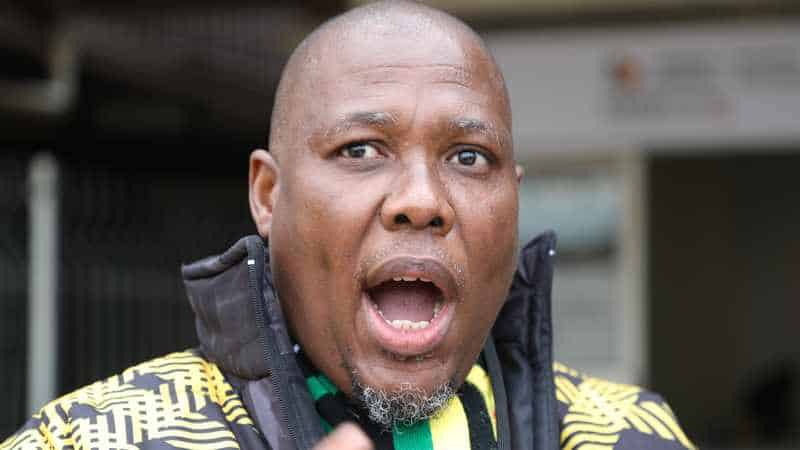 KZN ANC 'didn't lose' at policy conference | The Witness