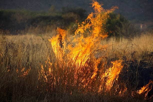 Weather warning for veld fires in KZN | The Witness
