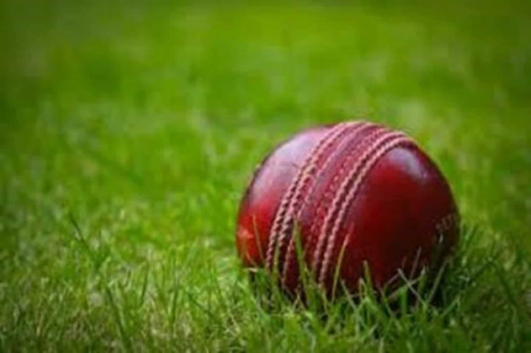 Pietermaritzburg cricketers part of indoor Cricket World Cup | The Witness