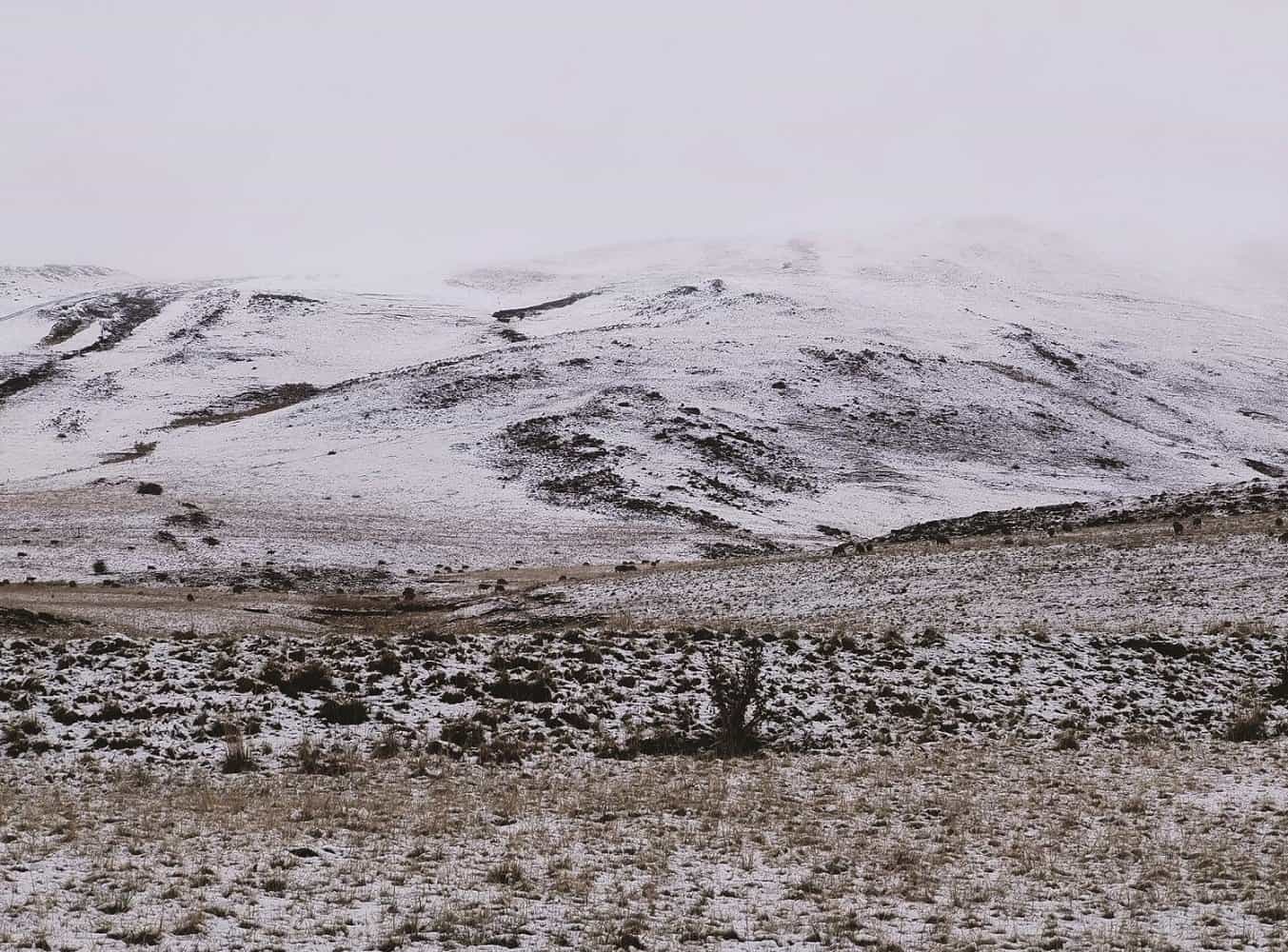 PICS | More frost bitten days for parts of KZN | The Witness