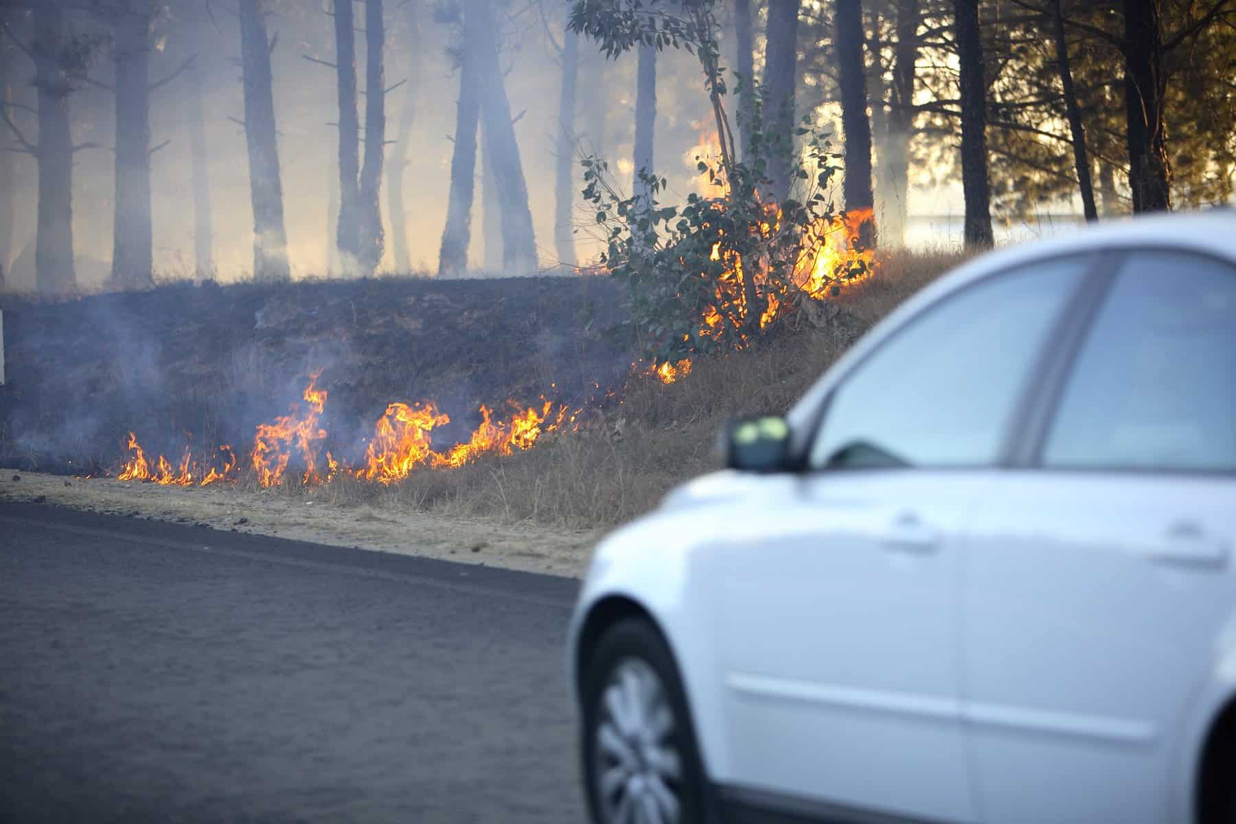 Veld fire warning for KZN | The Witness