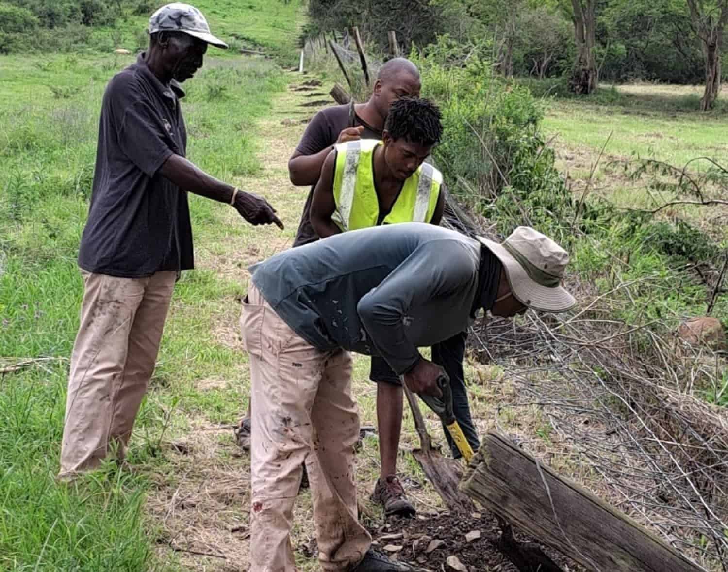 Collaboration to rehabilitate Bisley Nature Reserve | The Witness