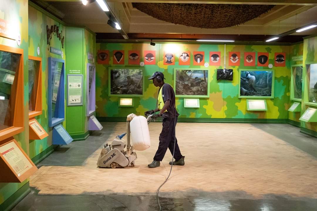KZN Museum undergoes renovations | The Witness