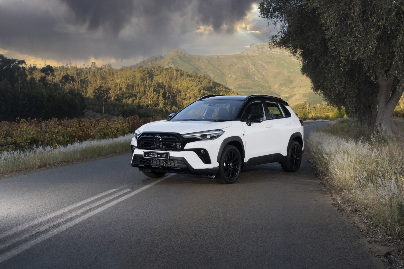 Toyota scoops 10 Naamsa awards | The Witness