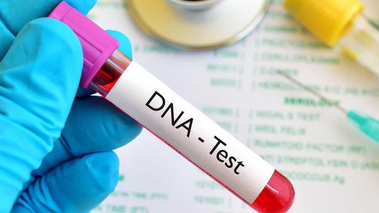 DA welcomes new forensic lab to fight KZN's DNA backlog | The Witness