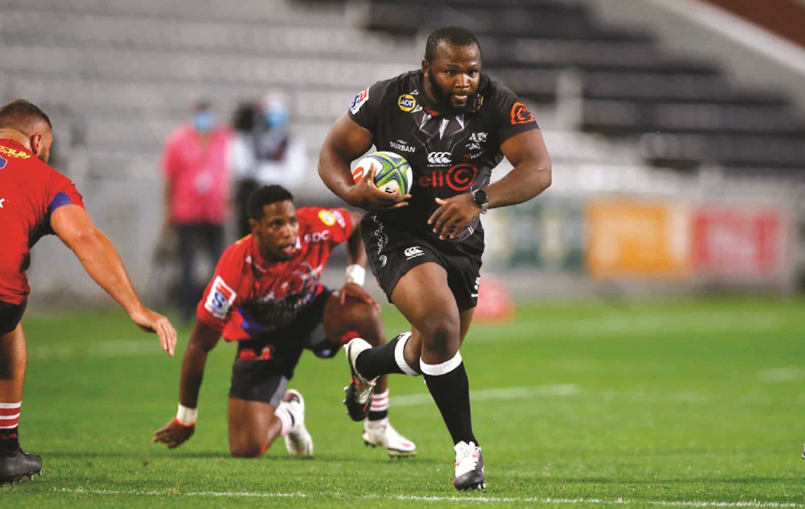 Sharks ready for Champions Cup debut against tricky Harlequins | The ...