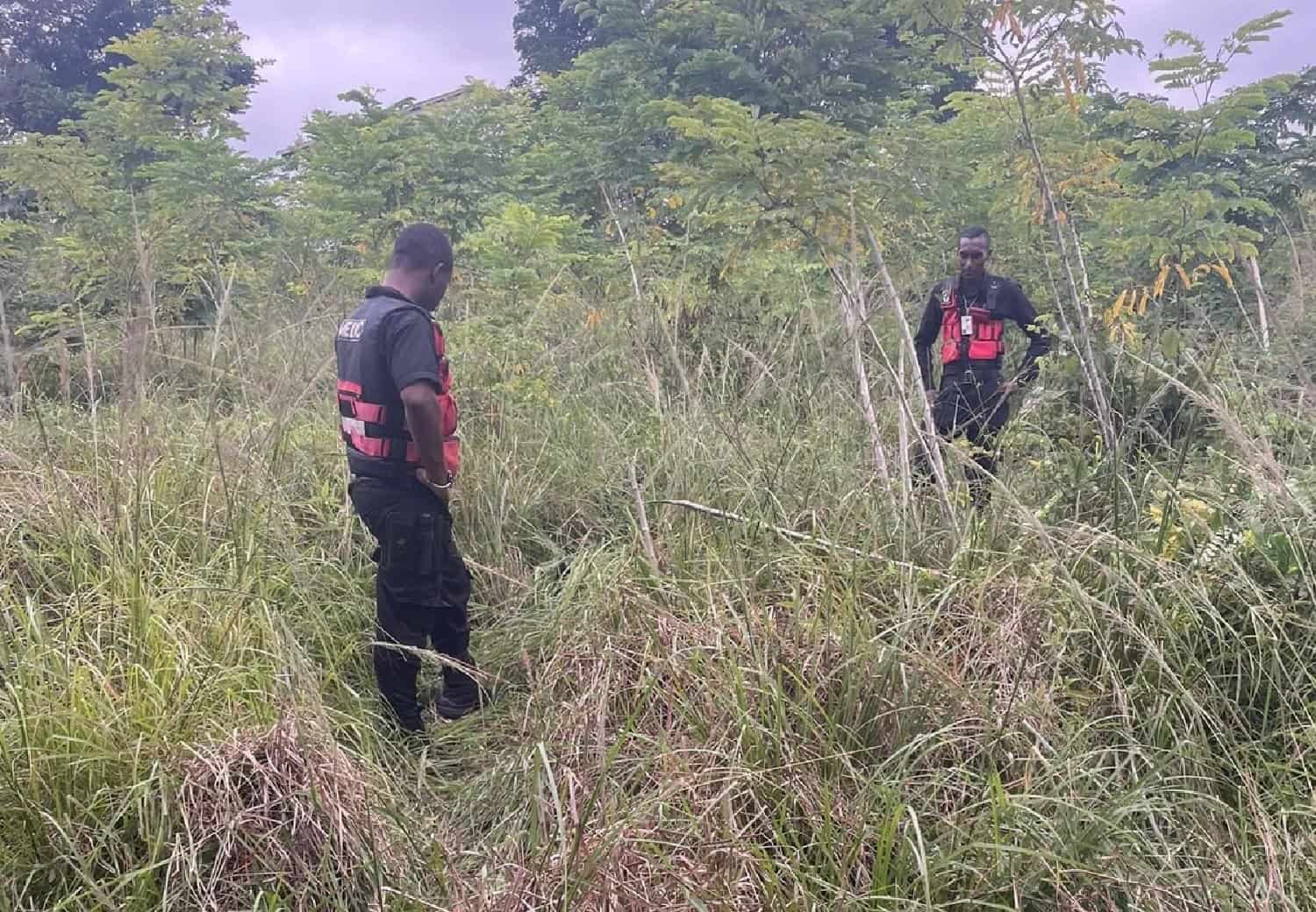 Human skeleton found near Verulam, Durban | The Witness
