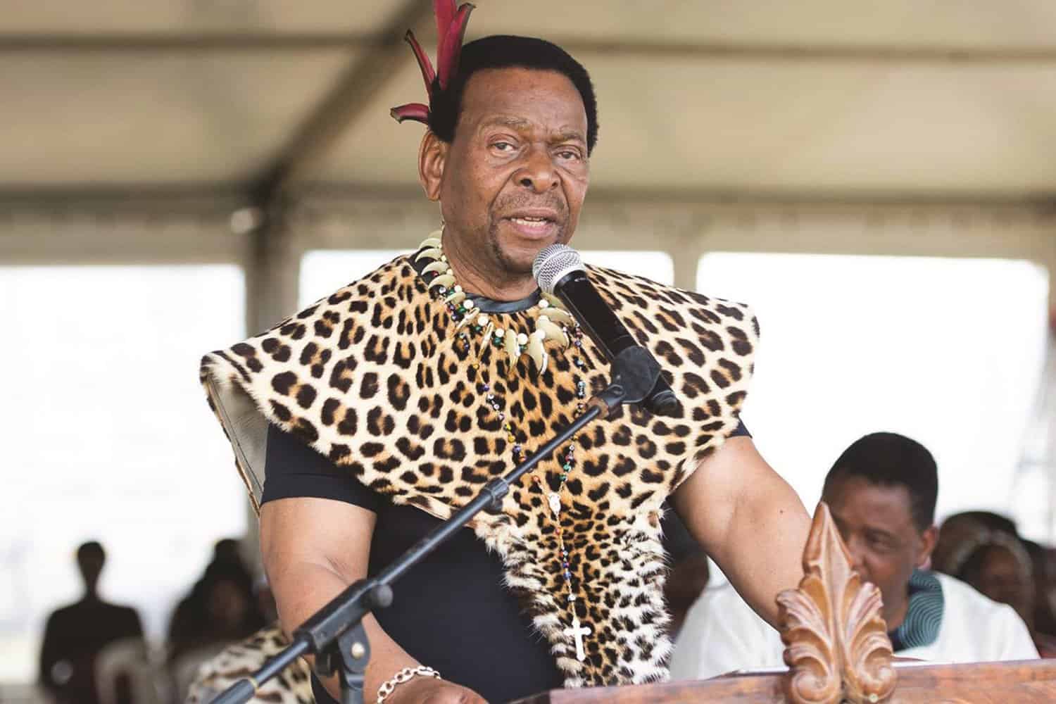 KZN parties endorse proposal to erect statue of King Zwelithini | The ...