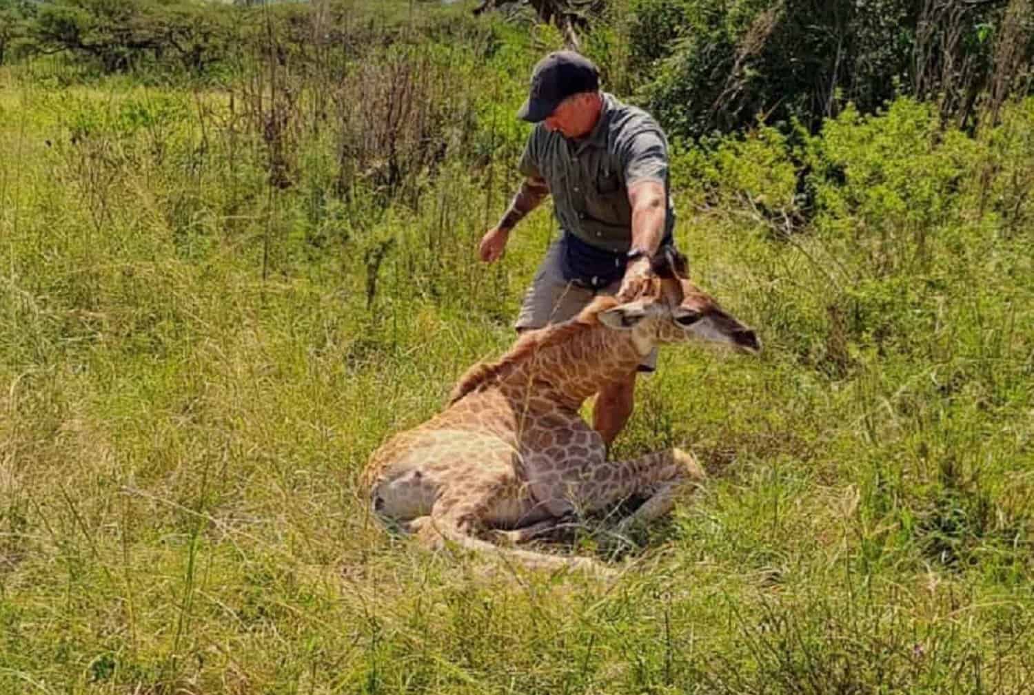 Shortage of vets in SA is a cause for concern | The Witness