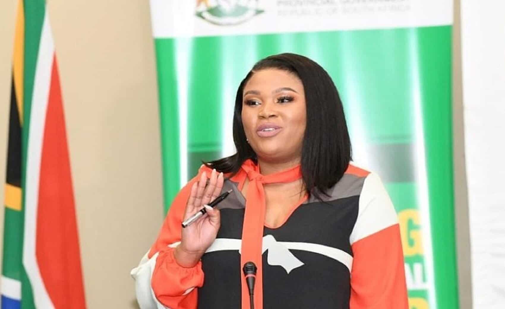 KZN MEC of Sport, Arts and Culture steps down | The Witness