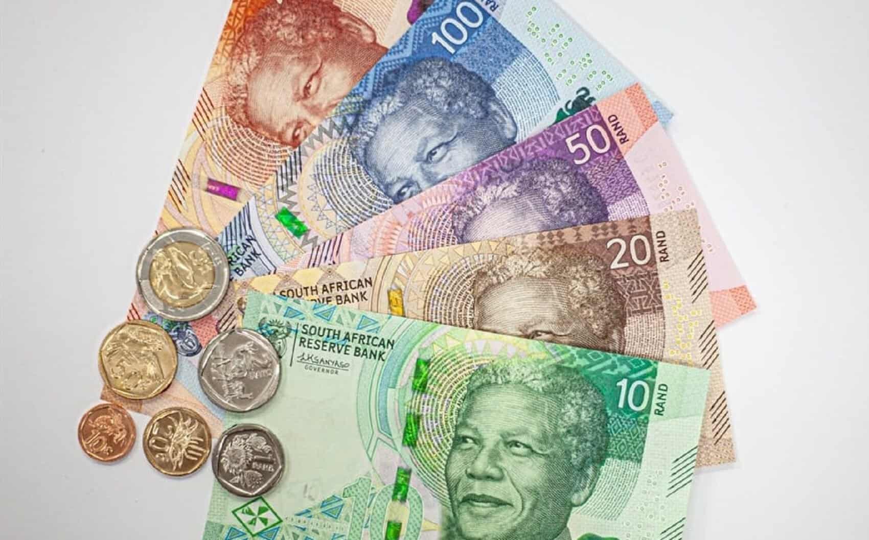 Baby animals join Mandela on environment-themed South African banknotes ...