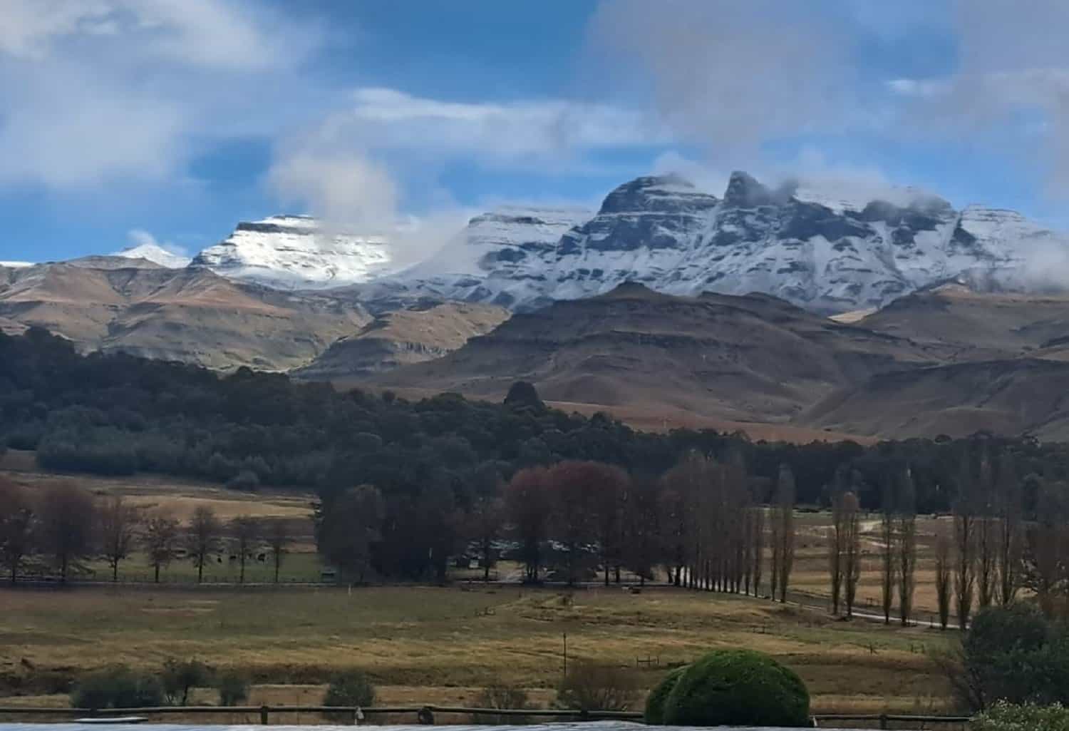Snow chasers head to the Berg | The Witness