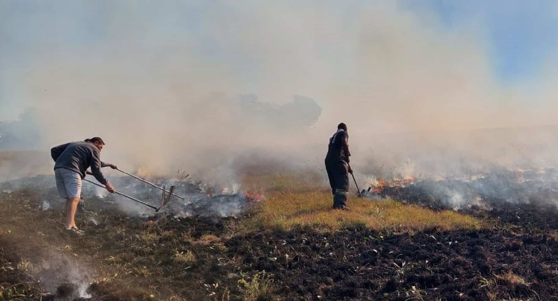 Bellevue residents fight farm blaze | The Witness