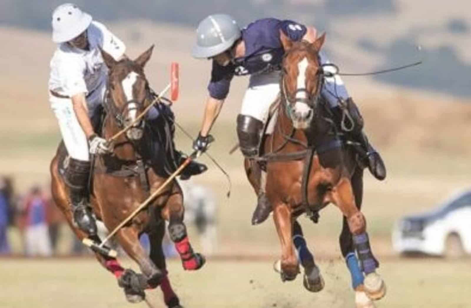 Traditional horse racing set to boost township economy | The Witness