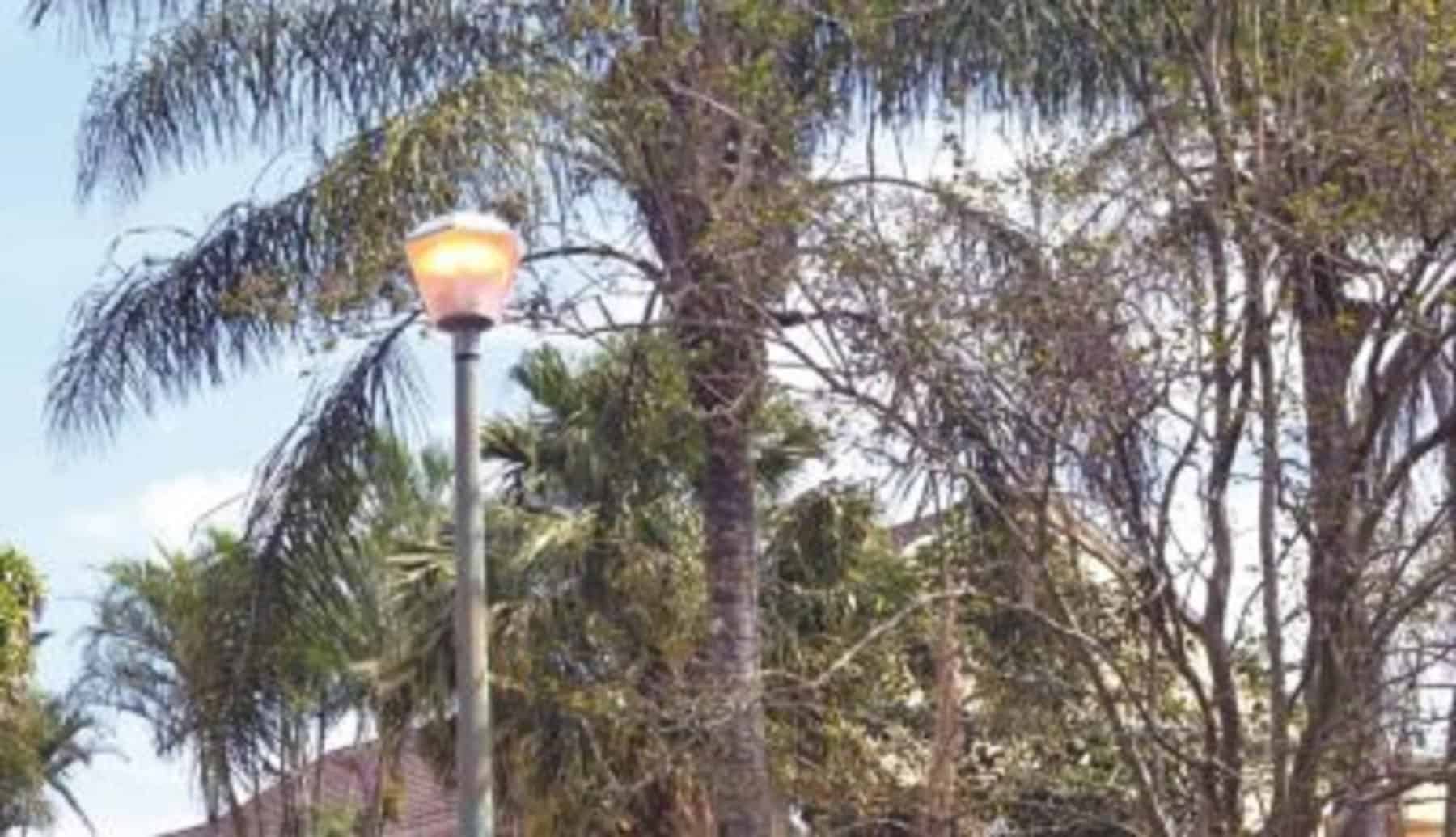 Msunduzi to light up the city | The Witness