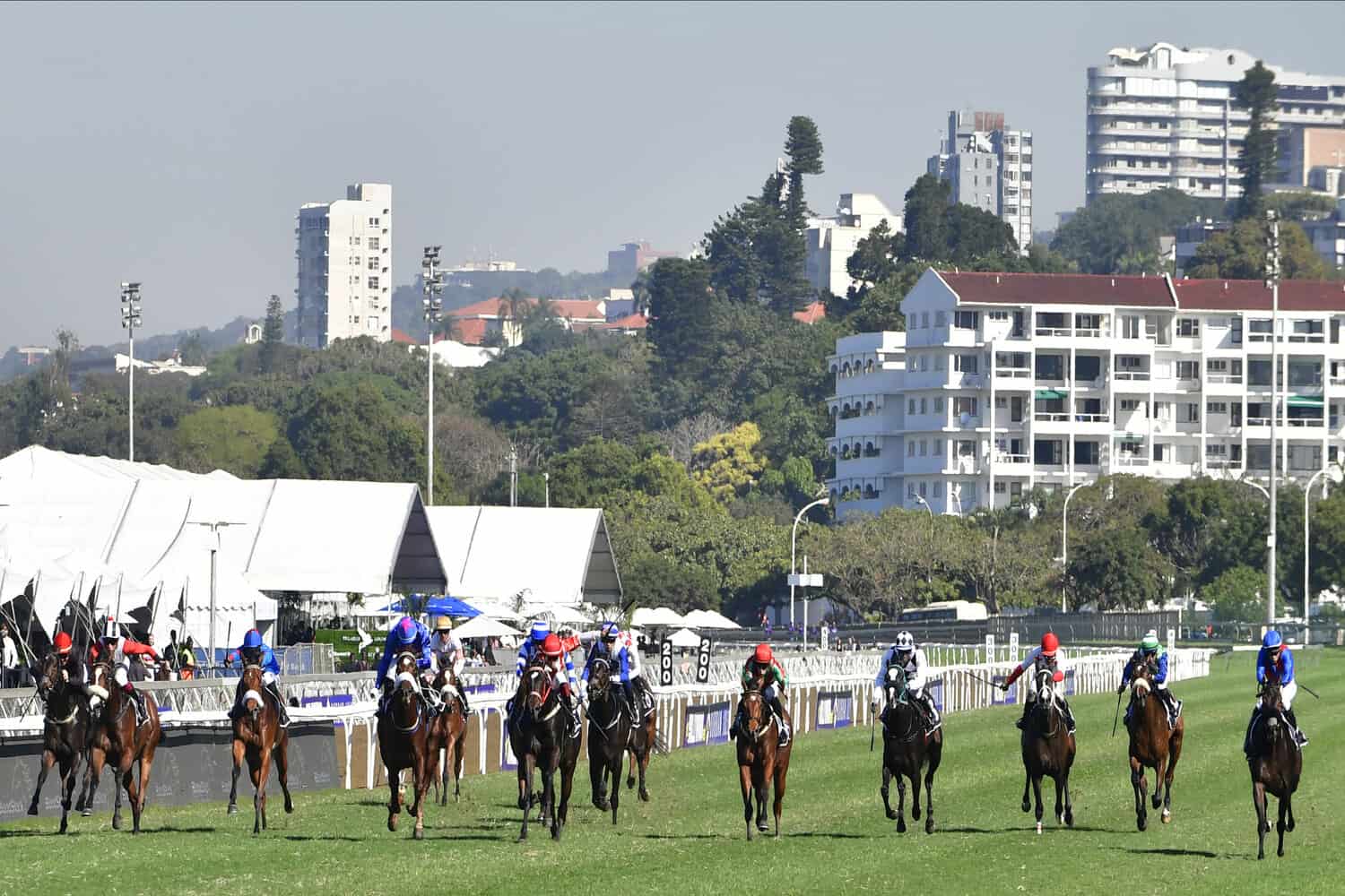 Winchester Mansion wins the final race | The Witness