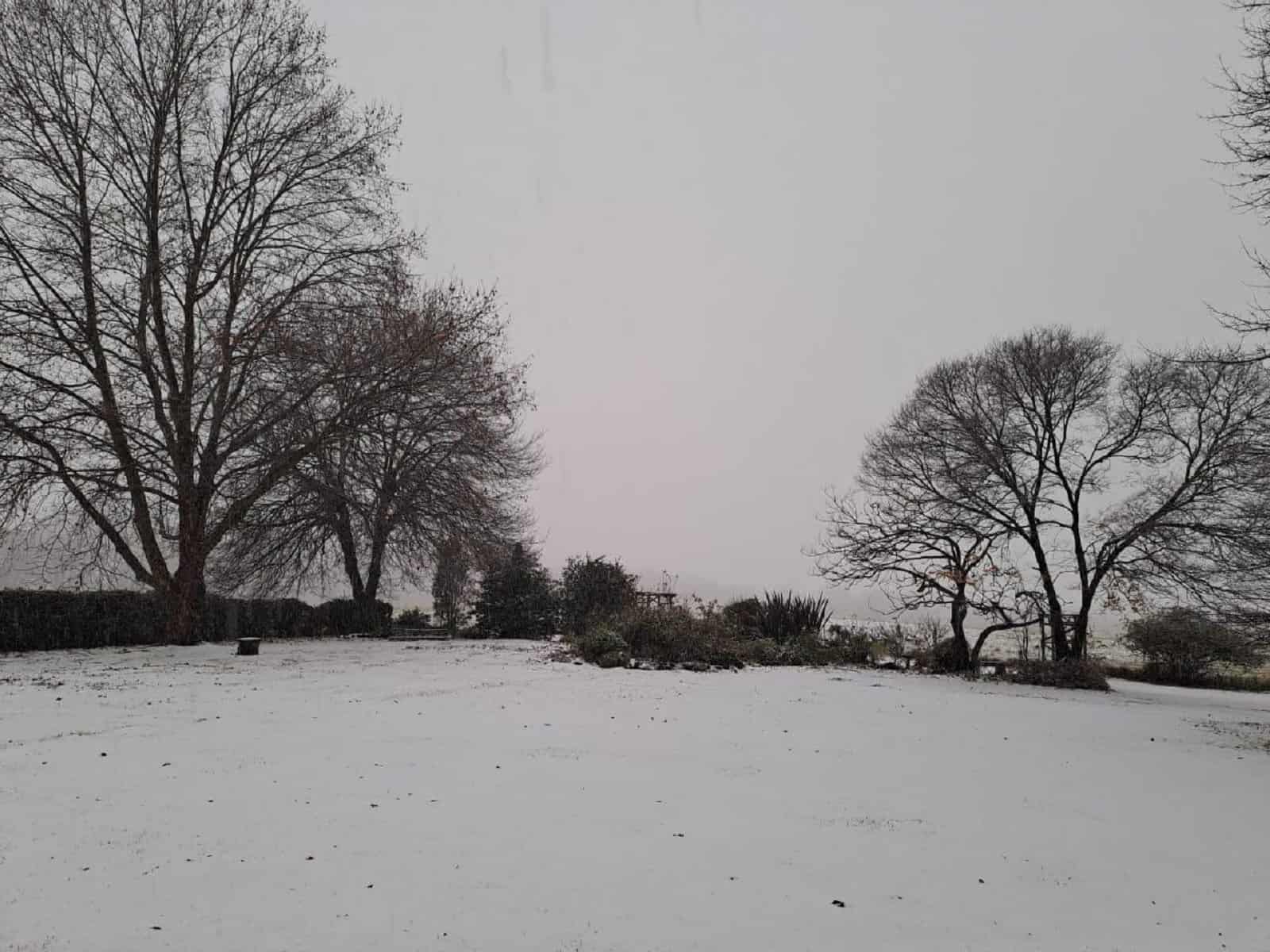 Snowfall brings an icy chill to KZN residents | The Witness