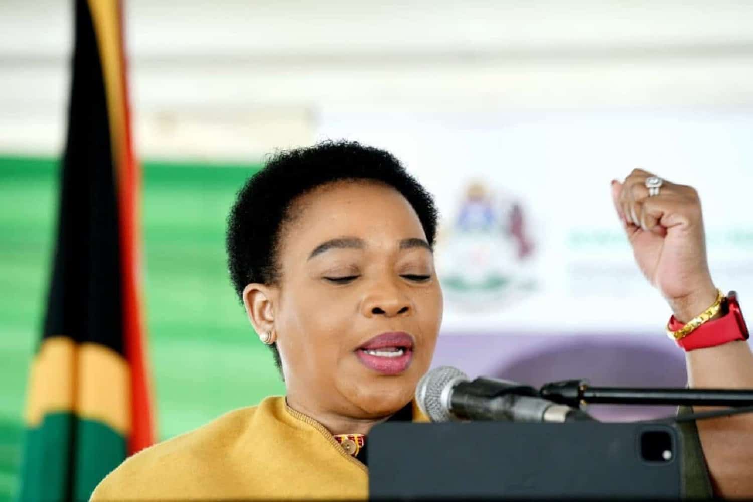 Sopa was an election speech, say opposition parties | The Witness