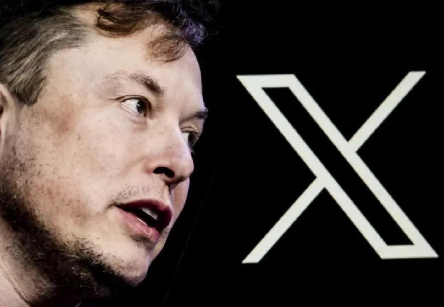 Microsoft strikes deal with Musk to host Grok AI | The Witness