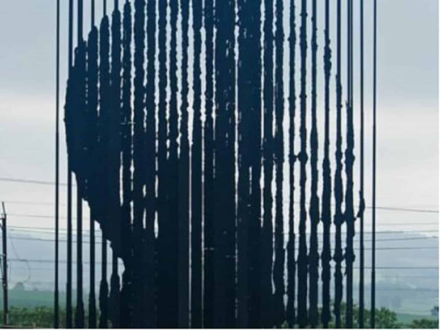 'Mandela in Focus': Coffee table photo journey | The Witness