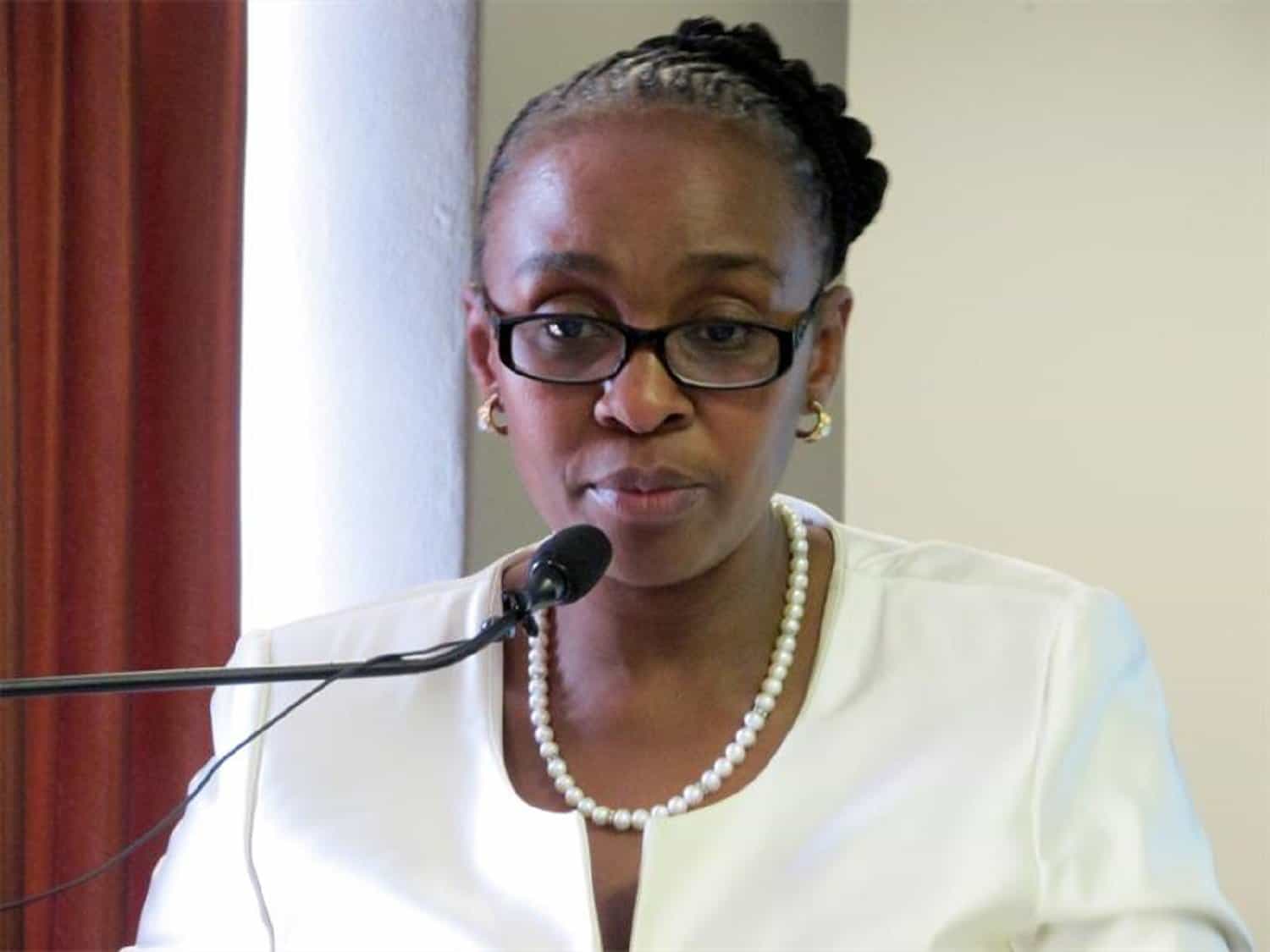 ANC Women's League leadership contest divides members in KZN | The Witness