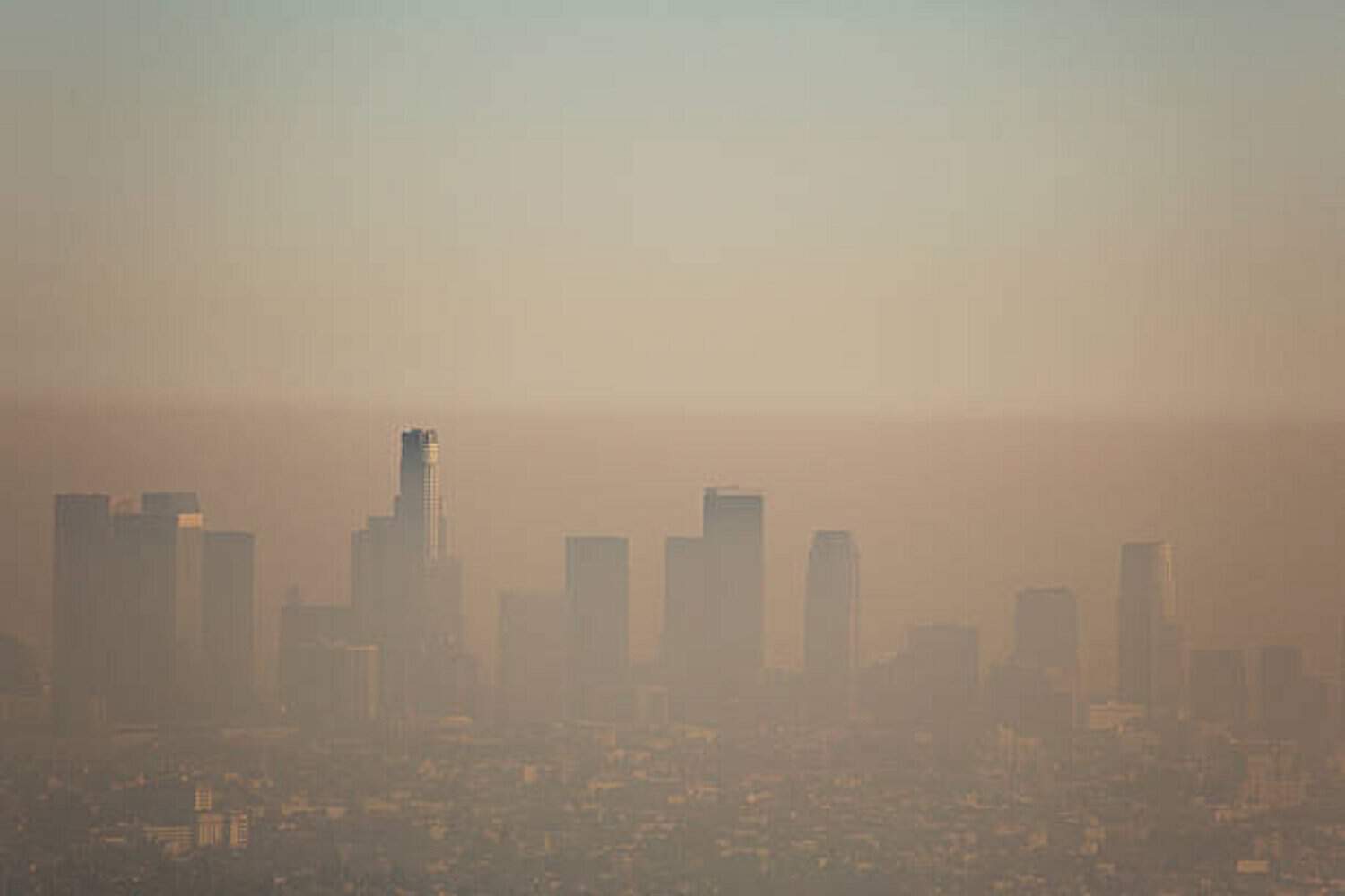 Air pollution greatest global threat to human health, says benchmark ...