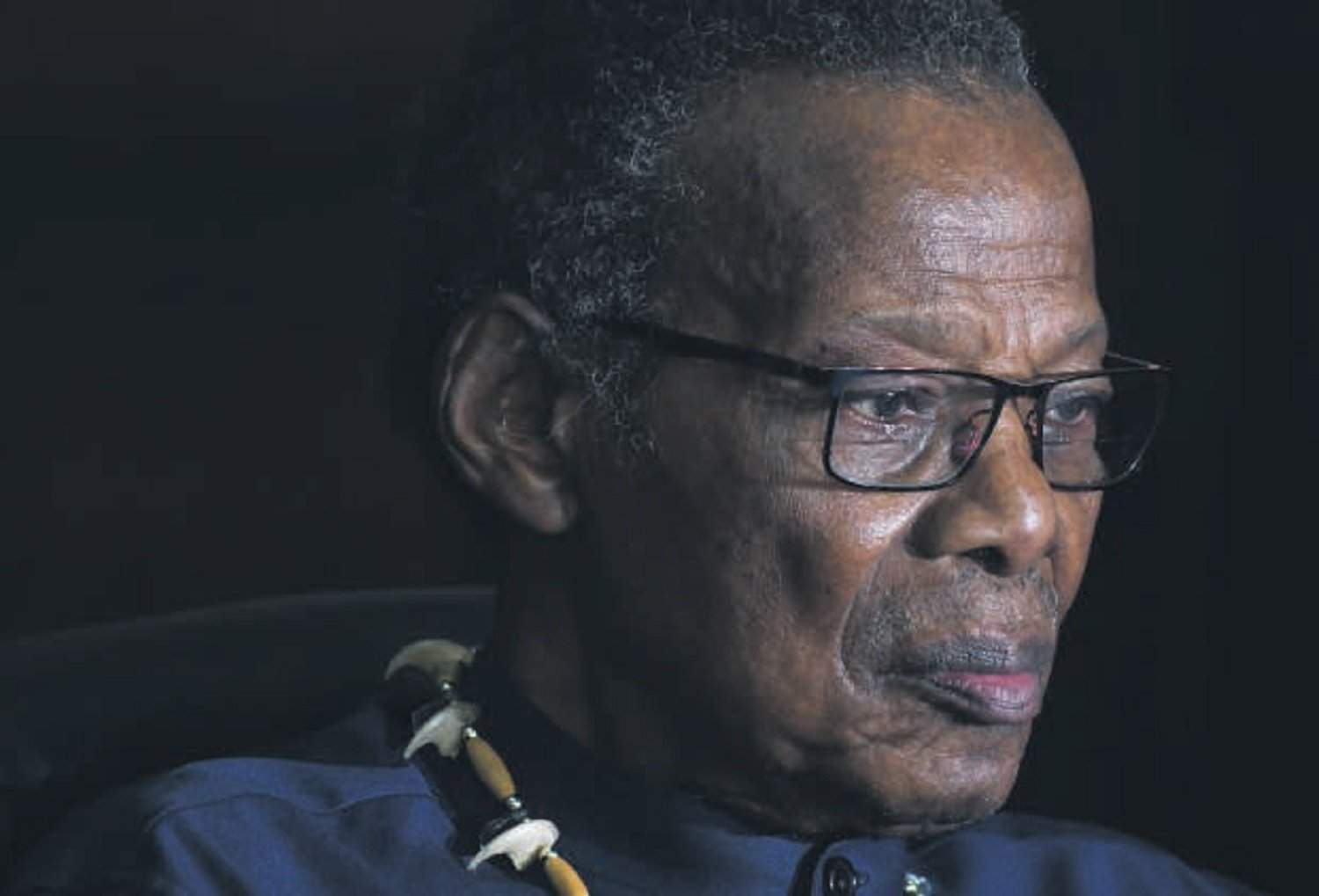 Buthelezi hailed as a freedom fighter | The Witness