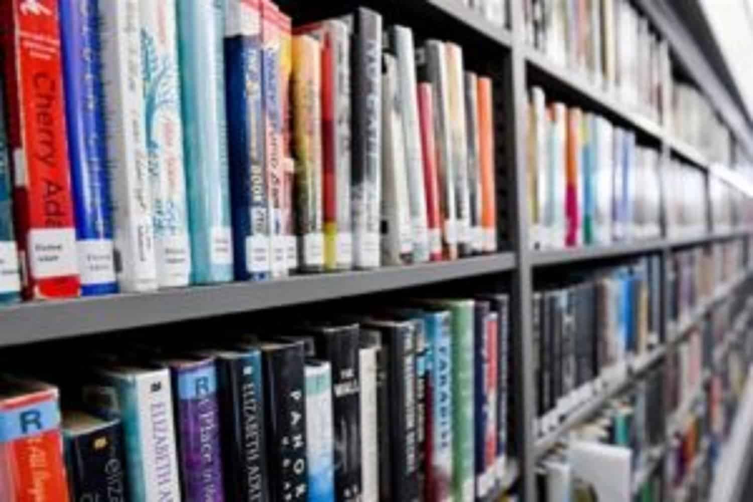 Amnesty on fines for overdue Msunduzi library books | The Witness