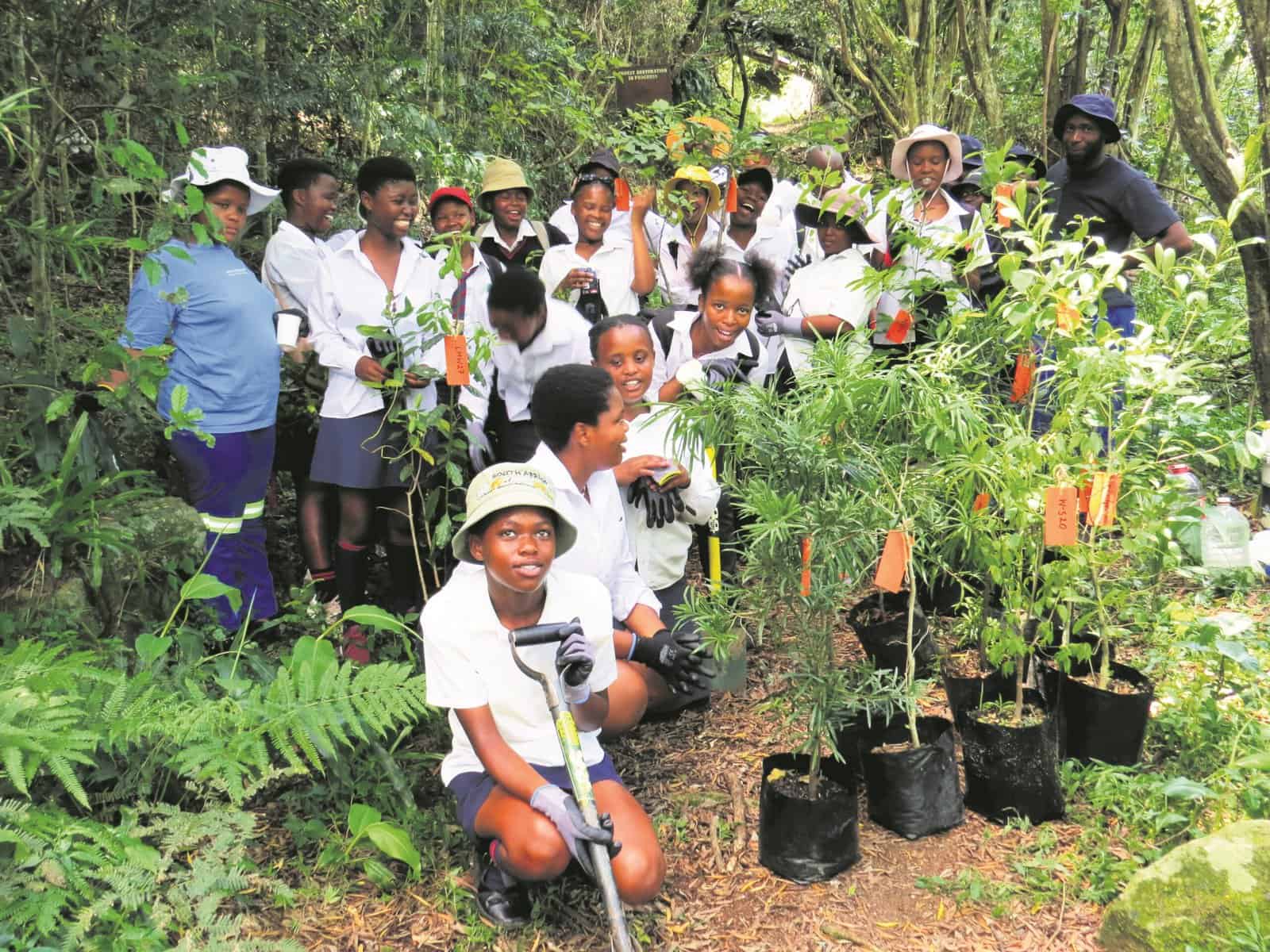 Fundokuhle pupils taught about importance of restoring forests | The ...