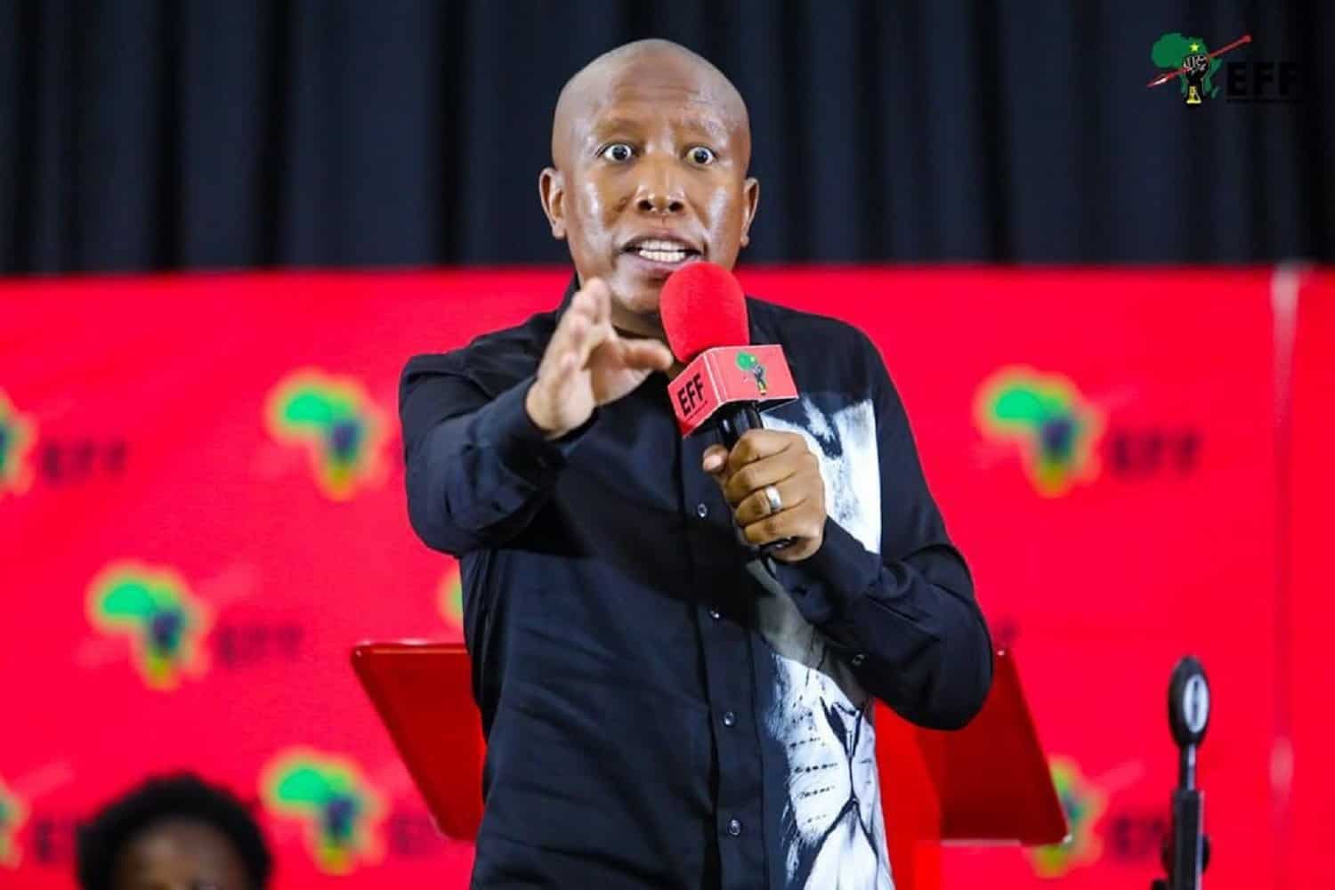 Malema lambasts ANC, IFP during address in Pietermaritzburg | The Witness