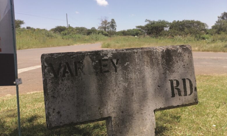 Overgrown and unkempt verges in Hayfields pose a safety risk | The Witness