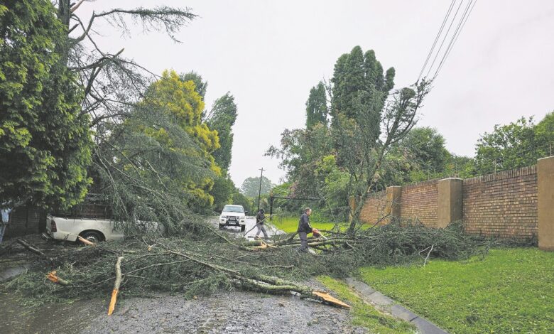 Howick mops up while waiting for power to be restored | The Witness
