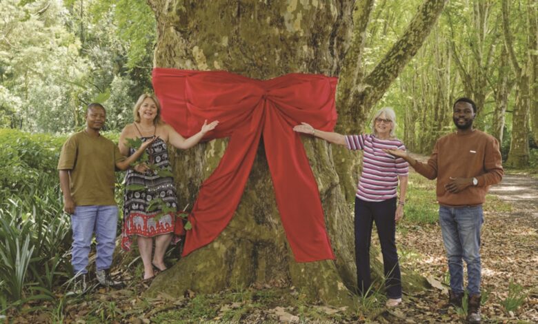 Call to paint the city red this Valentine's Day | The Witness