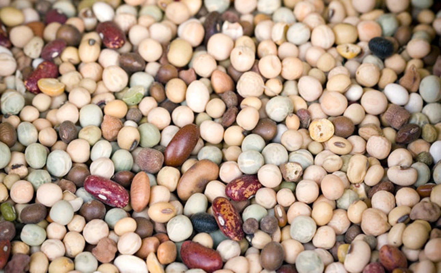 Miracle food: Pulses can transform agrifood system | The Witness