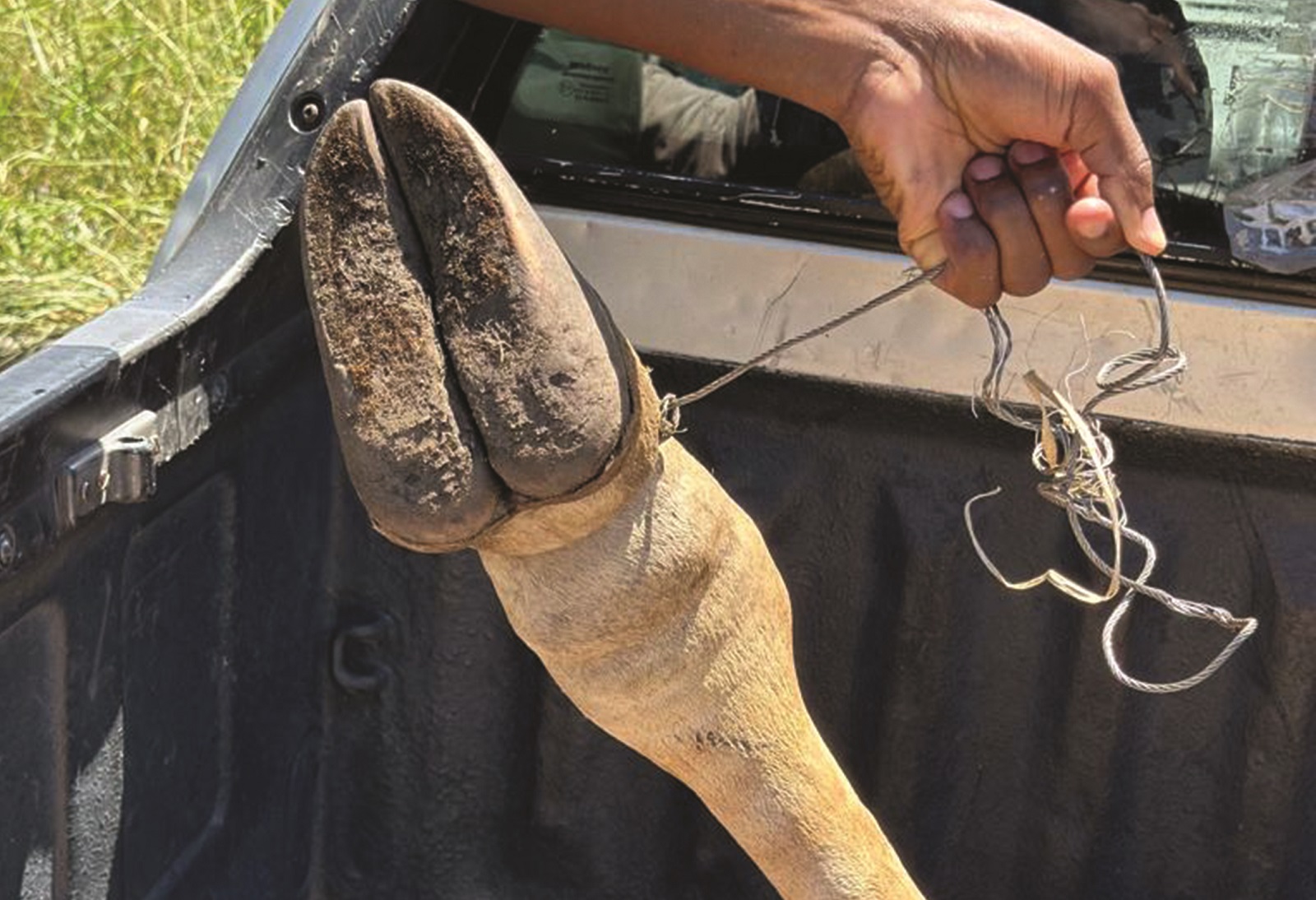Updated: Alleged poachers nabbed with giraffe meat at Bisley Nature ...