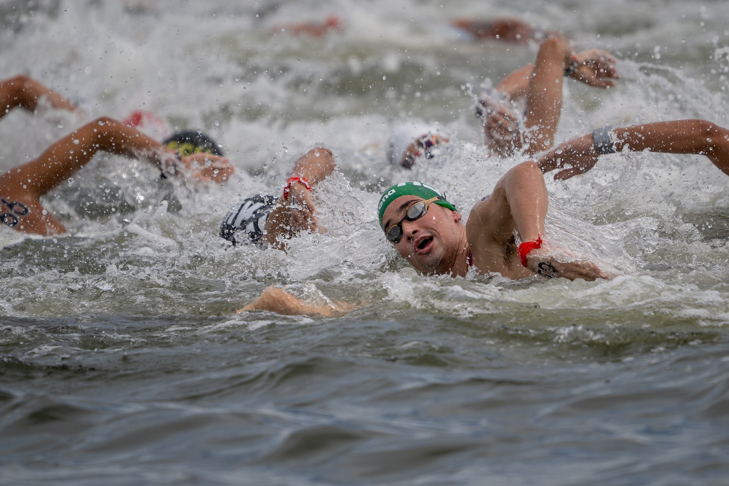 Midmar Mile: Sloman back to defend title | The Witness