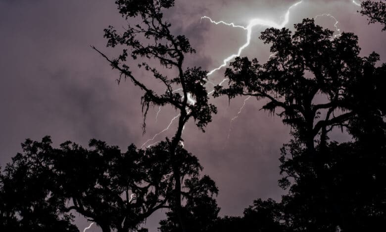 KZN man struck by lightning dies | The Witness